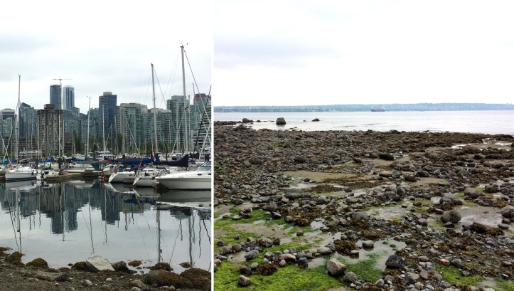 Top 5 Things to See and Do in Stanley Park – Boarding Pass