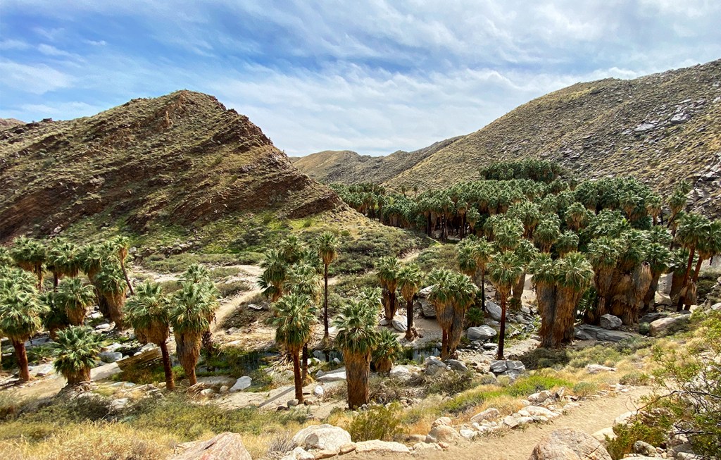 Top 3 Hiking Spots Near Palm Springs – Boarding Pass