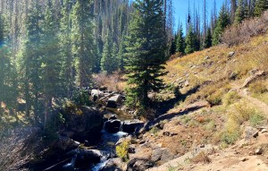 Hiking Near South Fork, Colorado – Boarding Pass