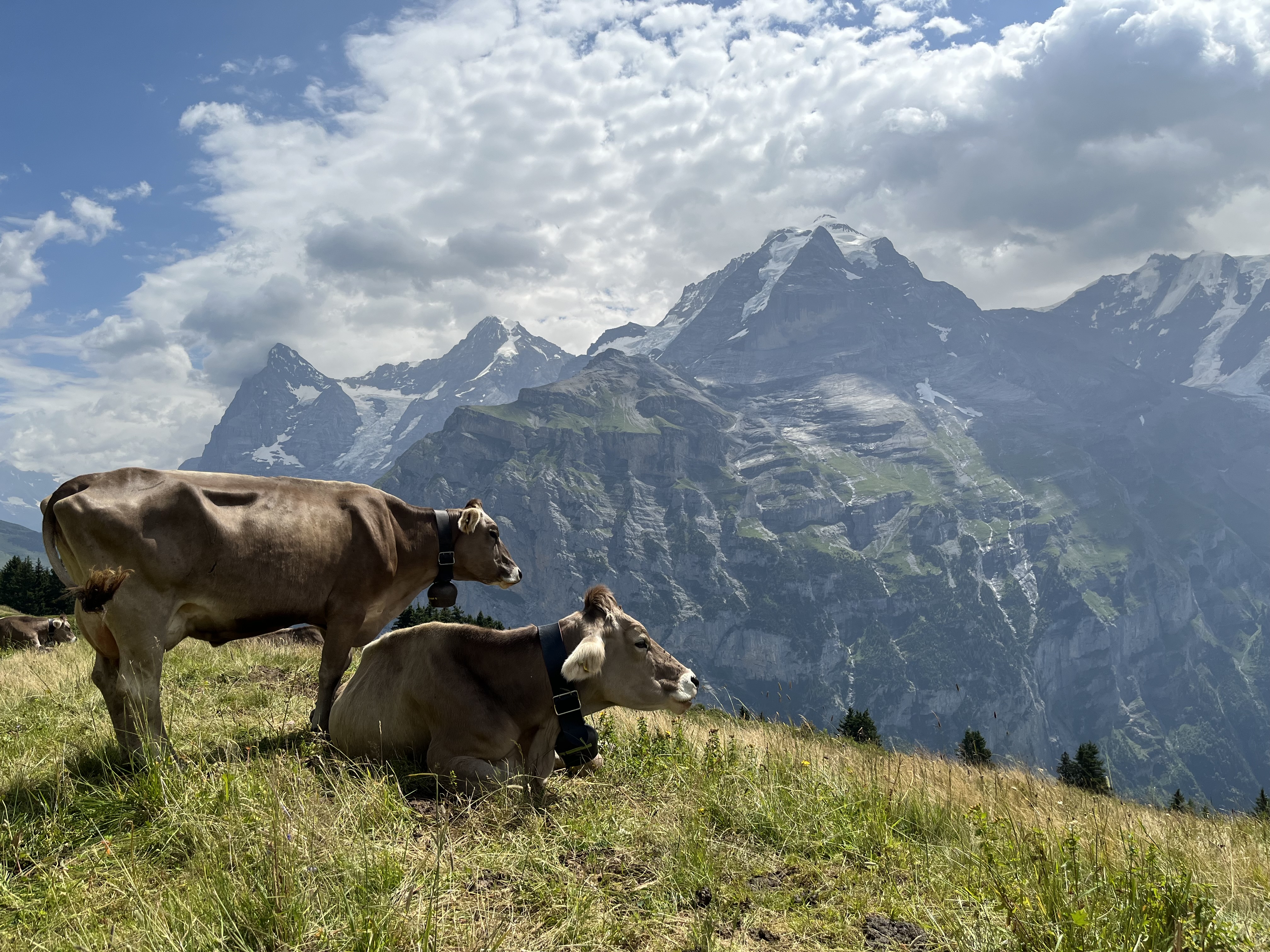 5 Scenic Hiking Spots in Switzerland’s Bernese Oberland – Boarding Pass